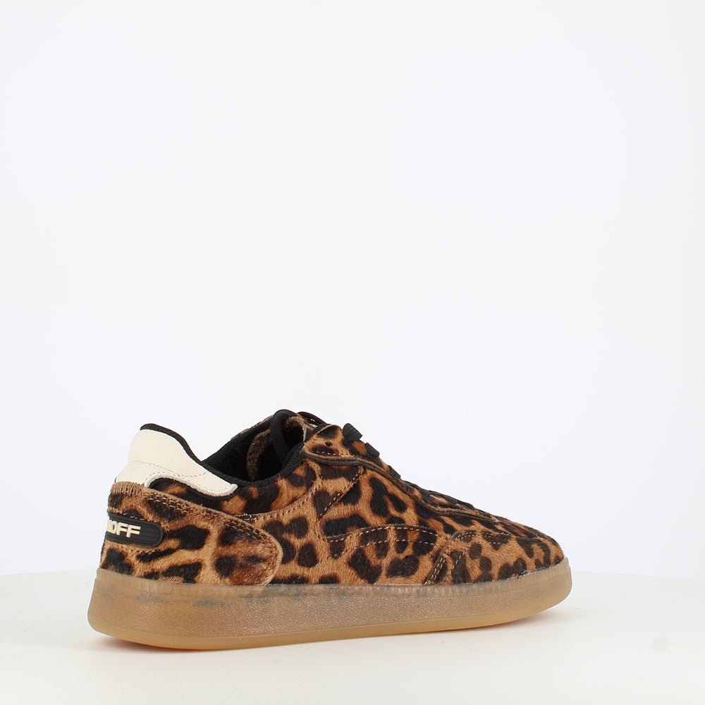 Hoff Alley Trainer Leopard Print – Cinders Shoe Heaven